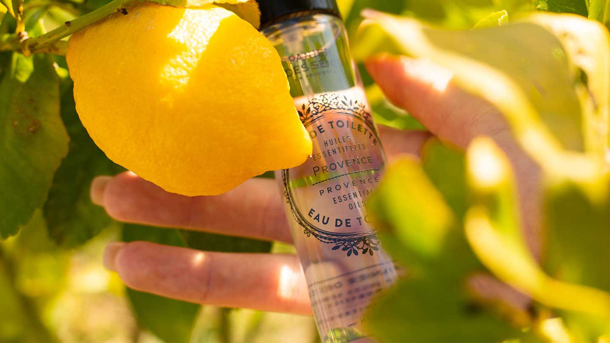 Provence Essentials Body Oil Care – Panier des Sens USA